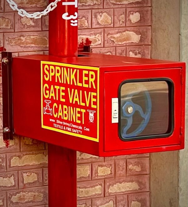 GATE VALVE CABINET - Silver String Chemicals